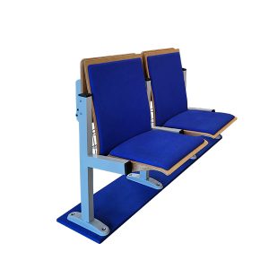 ZYRON Series (2 Seats) - Amp Chairs - Seatment™ - Amp Seating Manufacturer