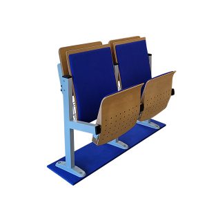 ZYRON Series (2 Seats) - Amp Chairs - Seatment™ - Amp Seating Manufacturer
