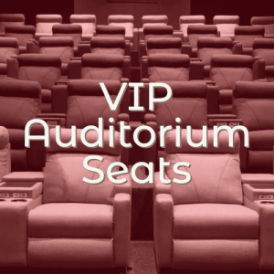 VIP Auditorium Seats Manufacturer - Seatment™ - Factory.